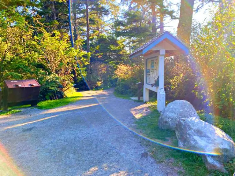 Kalaloch Beach 4, Olympic National Park 2025