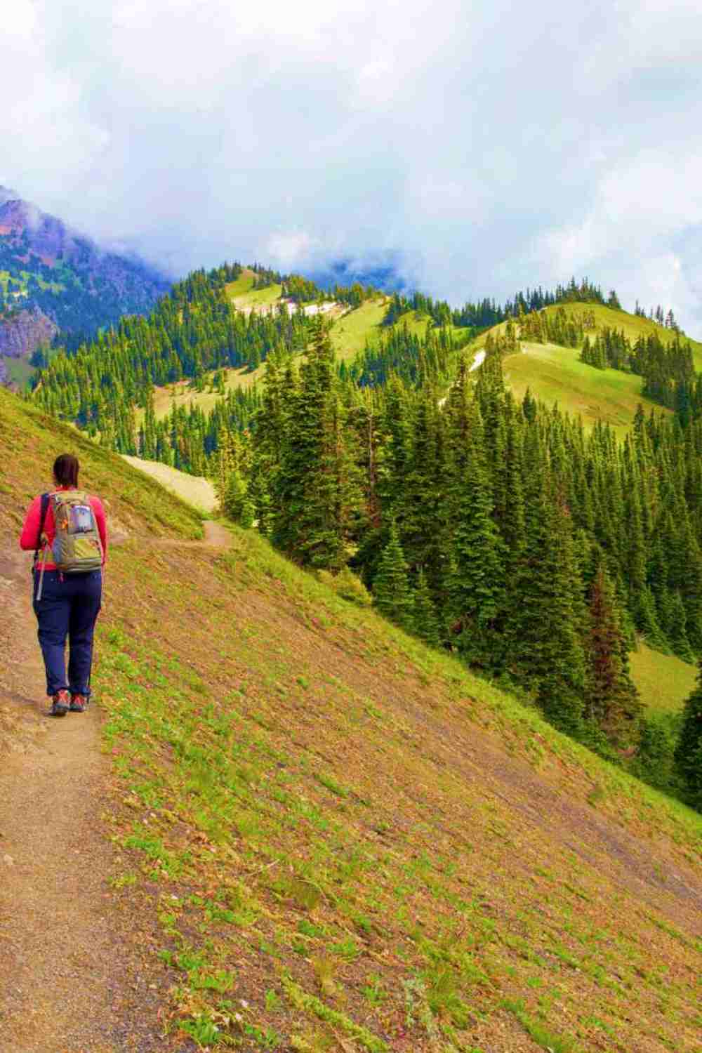 10 Best Hurricane Ridge Hikes