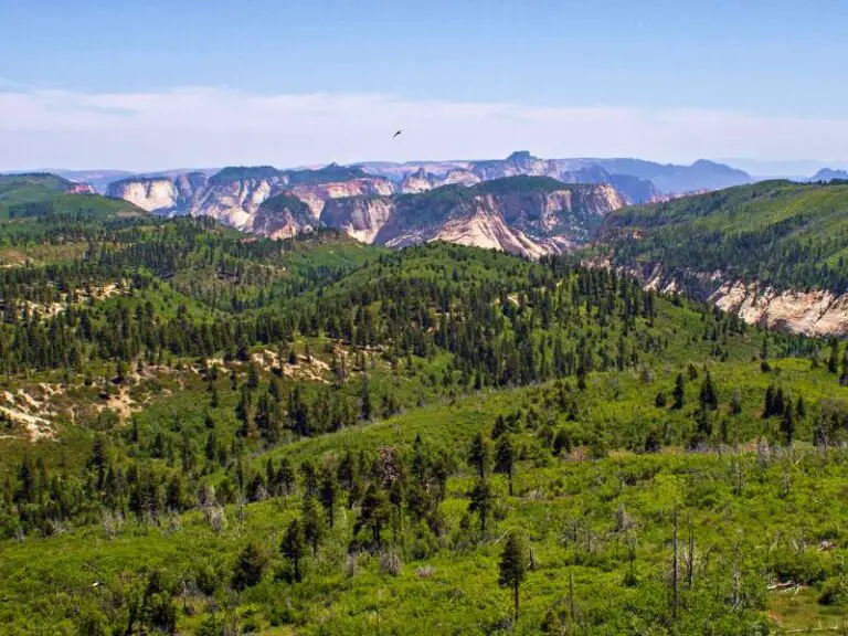 Best Photo Spots Zion National Park