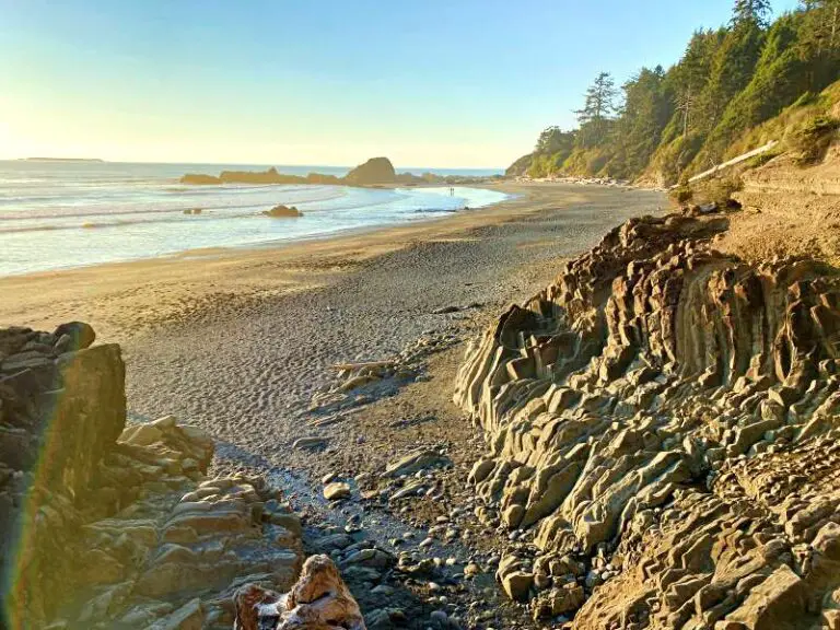 Kalaloch Beach 4, Olympic National Park 2024