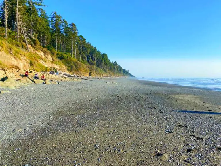 Kalaloch Beach 4, Olympic National Park 2025