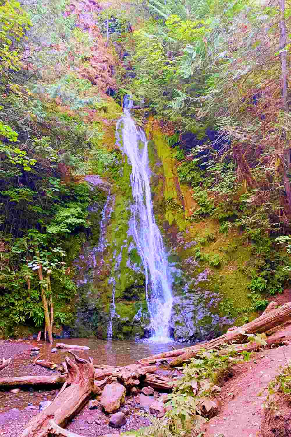 10 Best Waterfalls In Olympic National Park | Forest