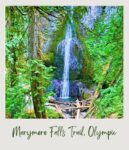 Marymere Falls Trail Guide