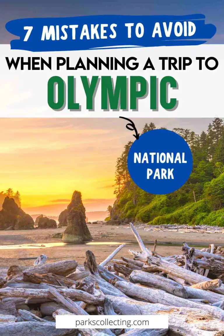 7 Mistakes To Avoid When Planning A Trip To Olympic National Park 2025