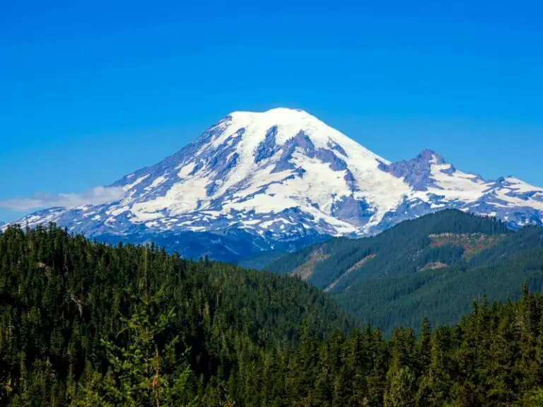 10 Fun Facts About Mount Rainier National Park