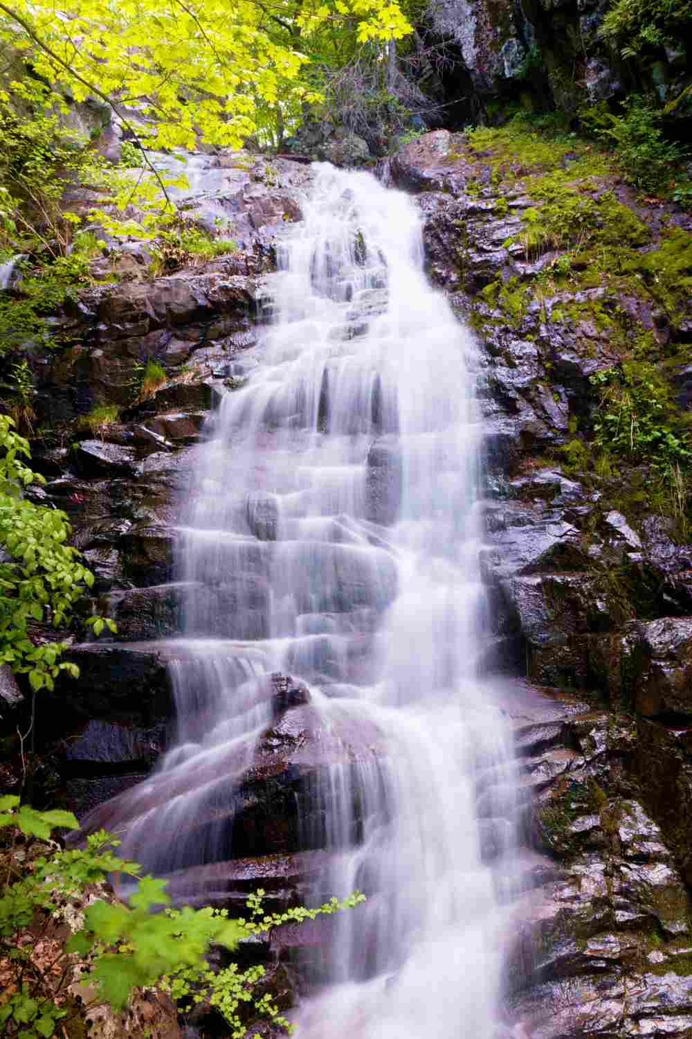 The Best Waterfalls In Shenandoah National Park