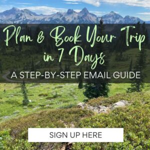 Lake Quinault Loop Drive: A Complete Guide For First Time Visitors