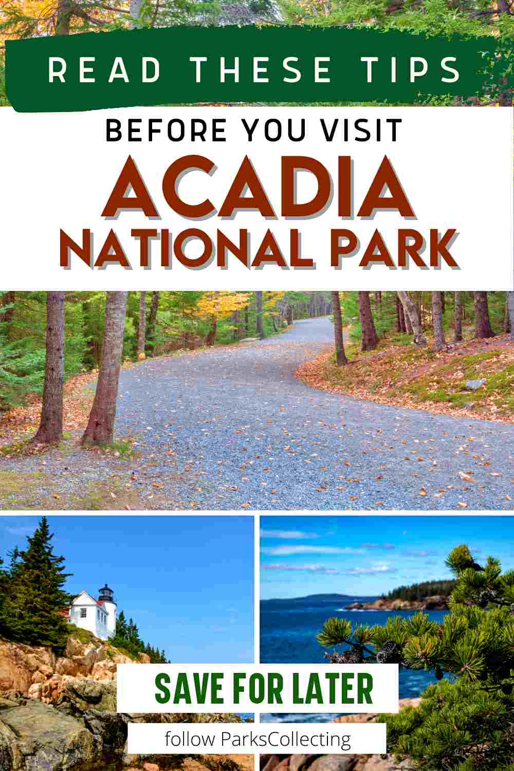 15 Tips For Visiting Acadia National Park