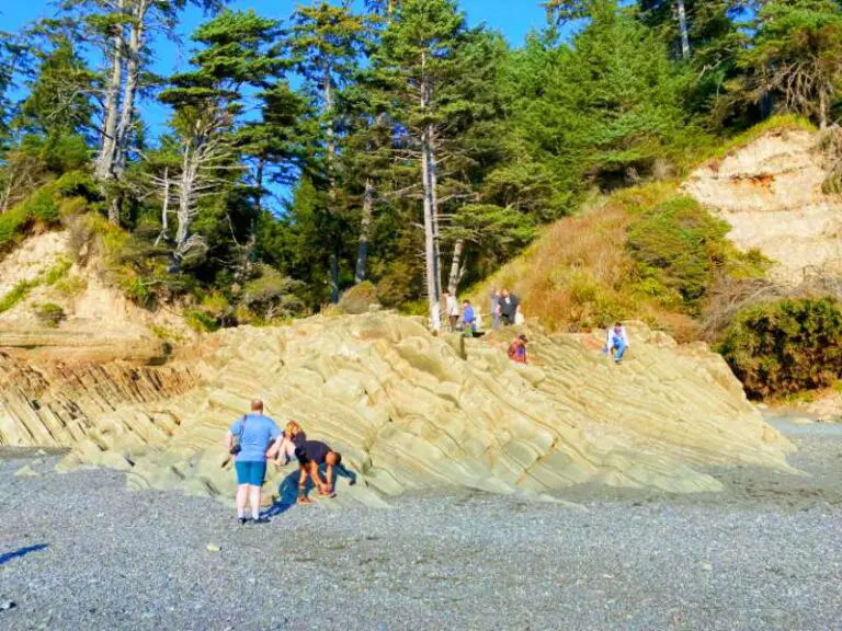 Kalaloch Beach 4, Olympic National Park 2025