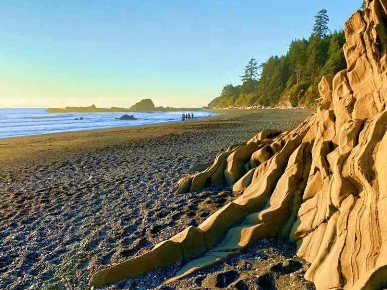 Kalaloch Beach 4, Olympic National Park 2025