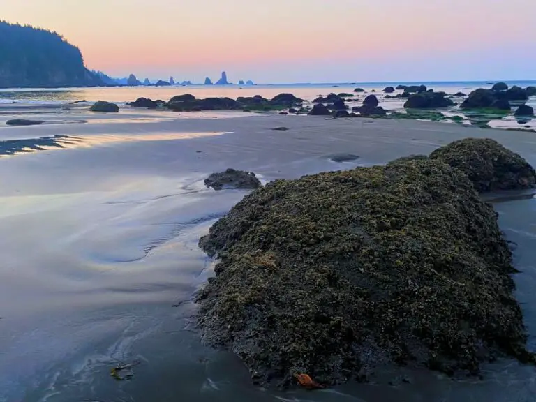 Third Beach, La Push: Complete Guide 2025