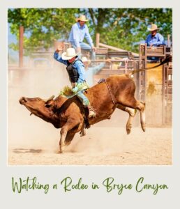 17 Best Things To Do In Bryce Canyon National Park