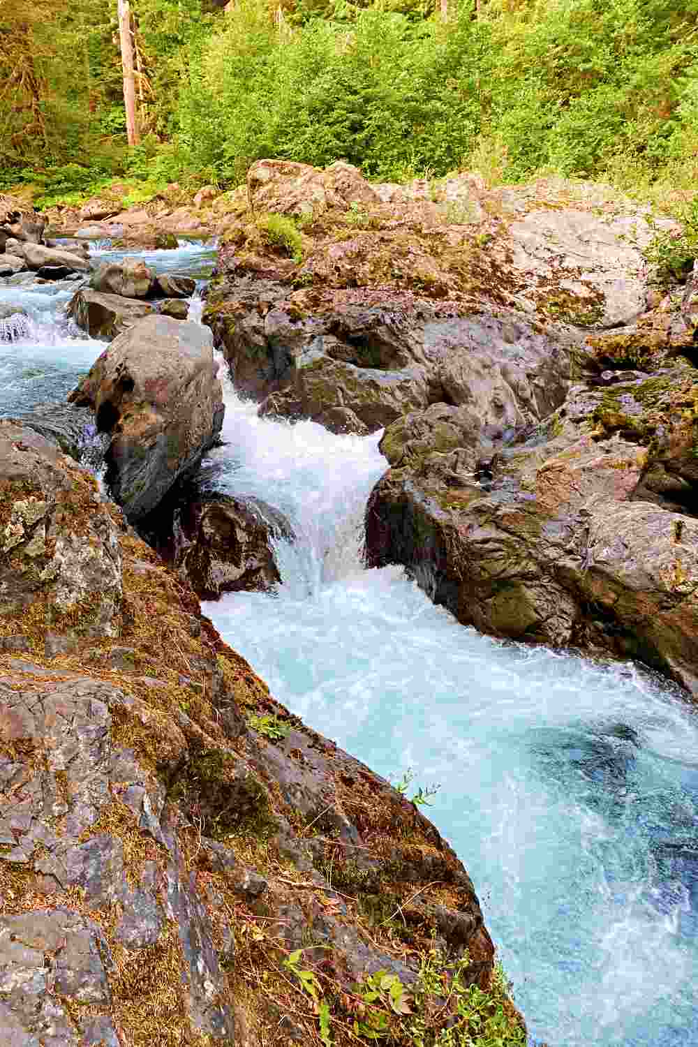 Sol Duc Salmon Cascades, Olympic National Park: All You Need To Know