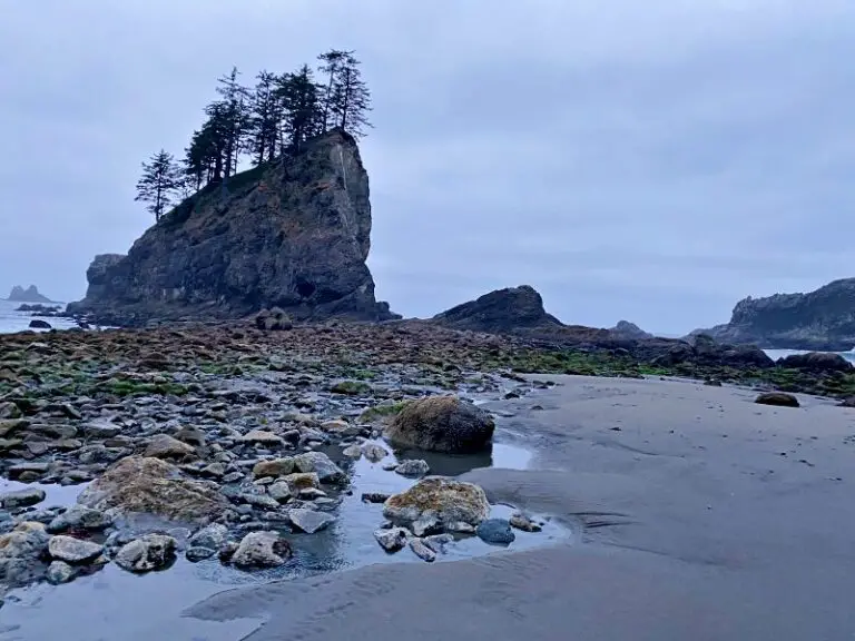 La Push Second Beach, Washington State: Complete Guide