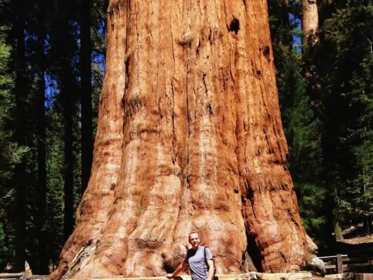 Hiking The Congress Trail, Sequoia National Park: Complete Guide 2025