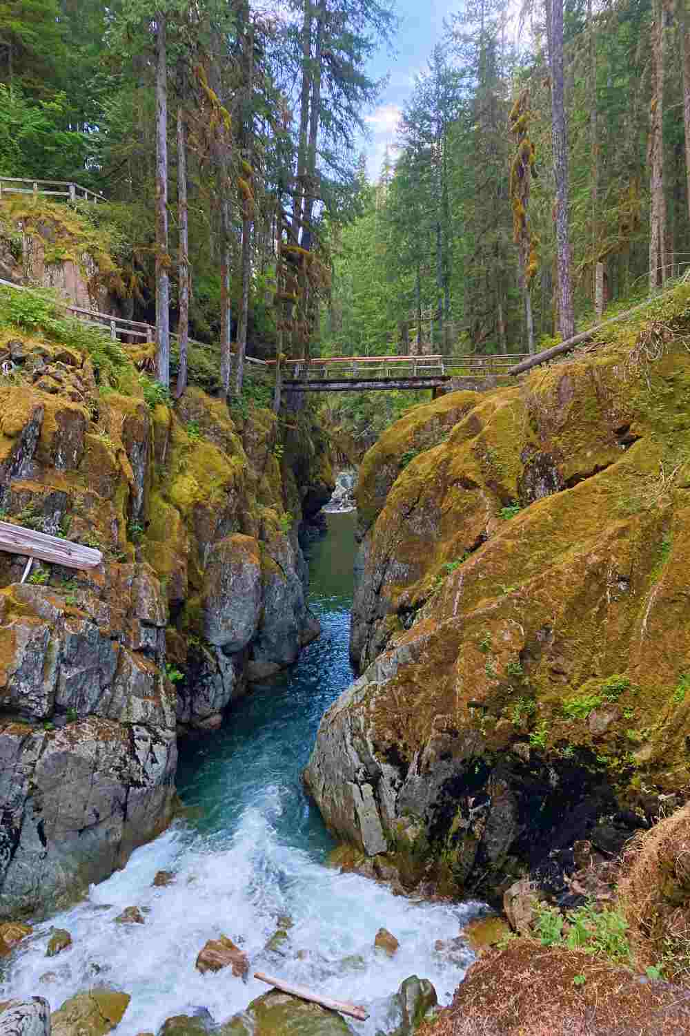 20 Best Hikes In Mount Rainier National Park