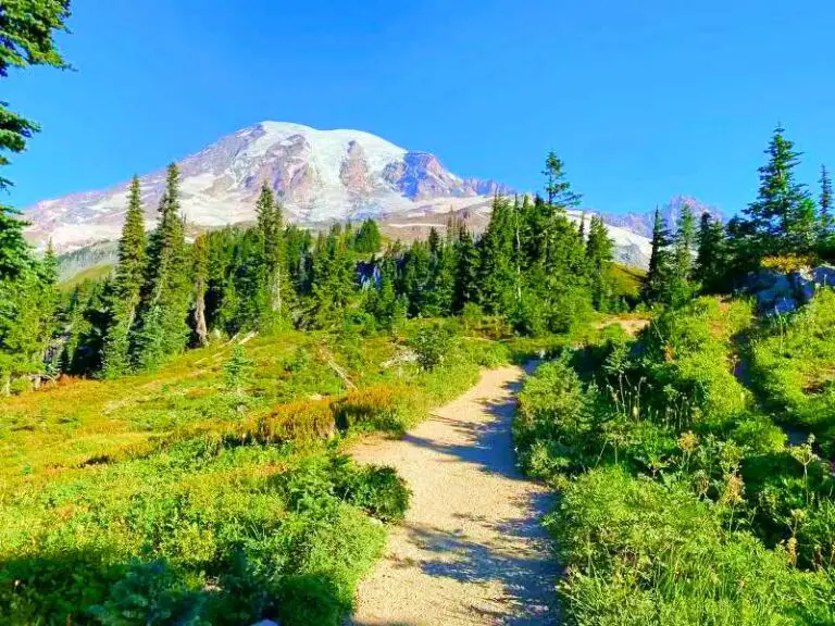 Hiking The Skyline Trail Mt Rainier National Park: Complete Guide