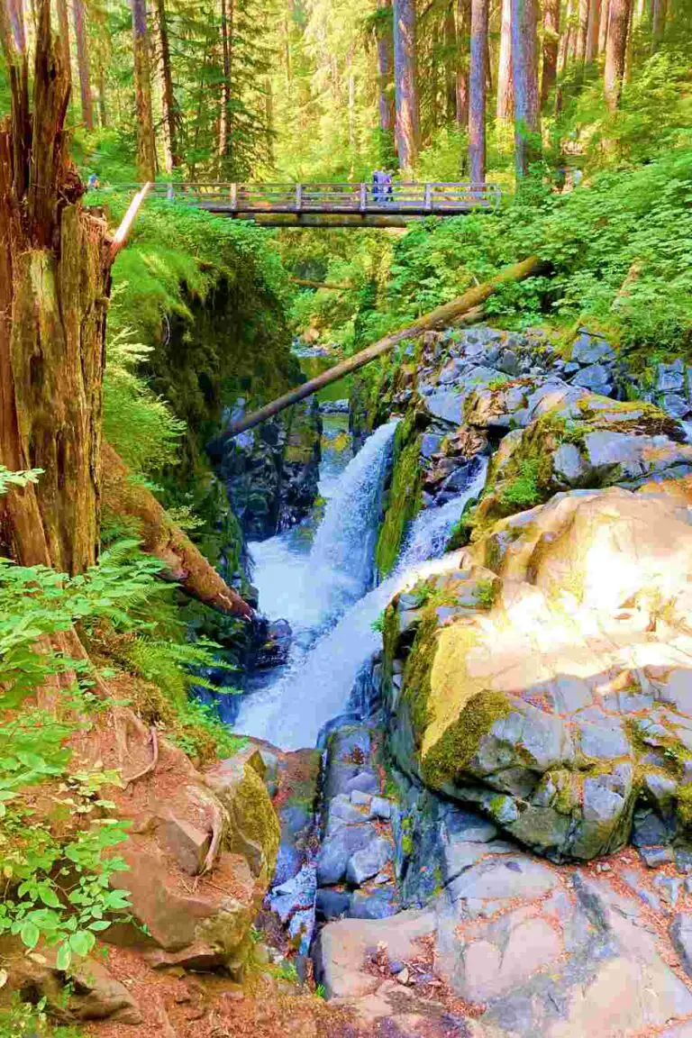 Sol Duc Falls Trail, Olympic National Park: Complete Guide
