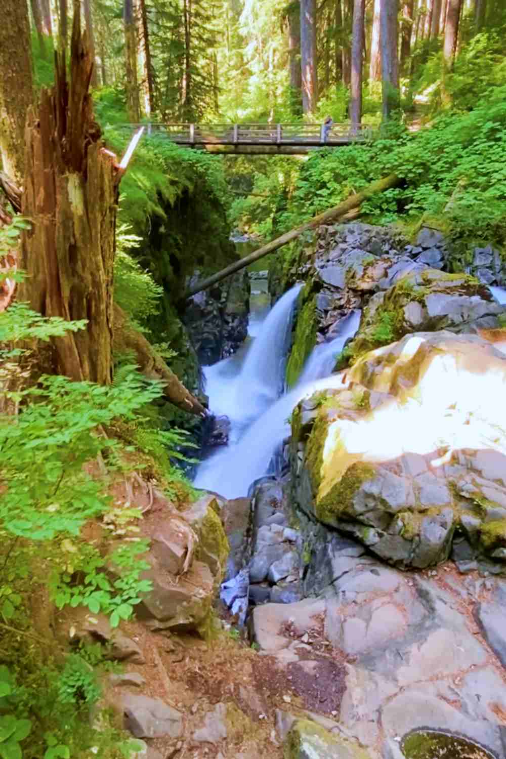 Sol Duc Falls Trail, Olympic National Park: Complete Guide