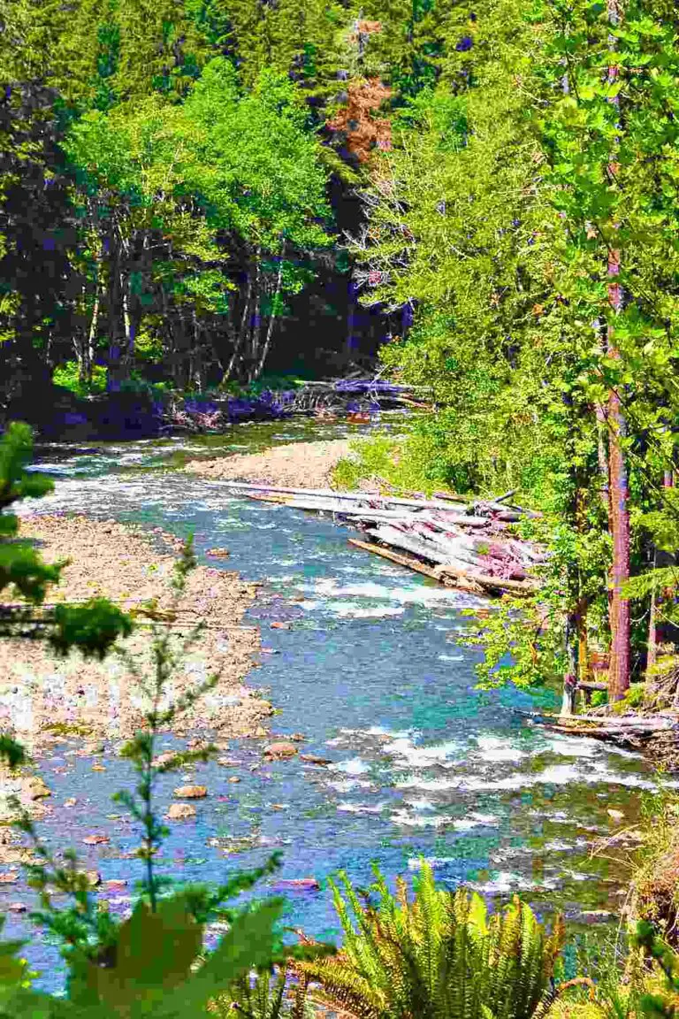 8 Best Sol Duc Hikes, Olympic National Park