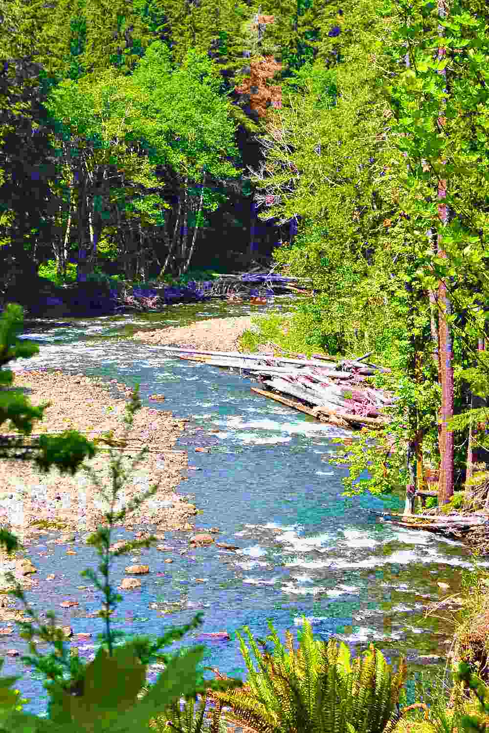 8 Best Sol Duc Hikes, Olympic National Park