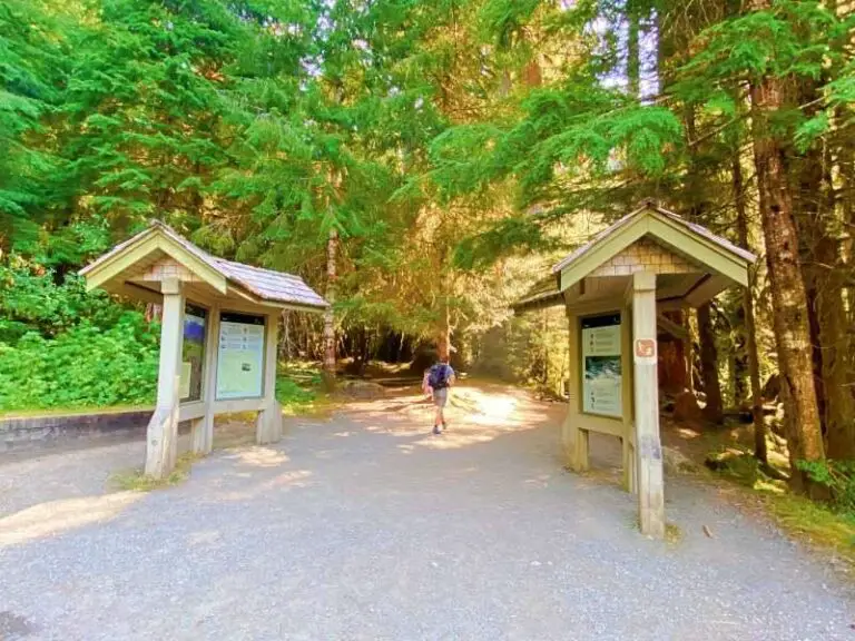 Sol Duc Falls Trail, Olympic National Park: Complete Guide