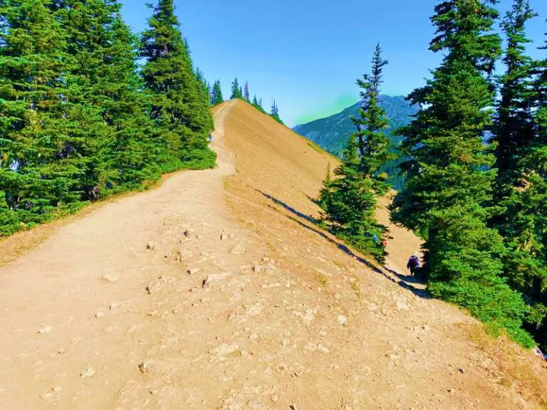 High Ridge Trail To Sunrise Point, Hurricane Ridge: Complete Guide