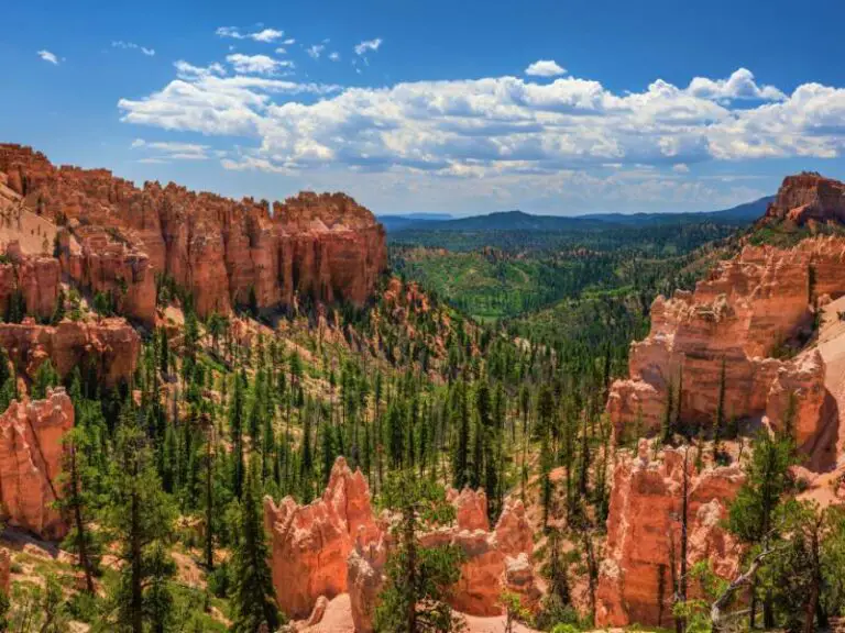The Bryce Canyon Scenic Drive: A Complete Guide