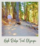 High Ridge Trail To Sunrise Point, Hurricane Ridge: Complete Guide