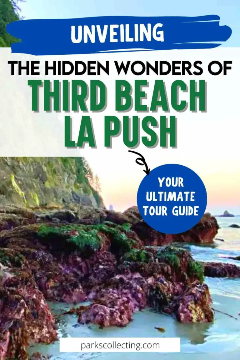 Third Beach La Push WA: Complete Guide 2024