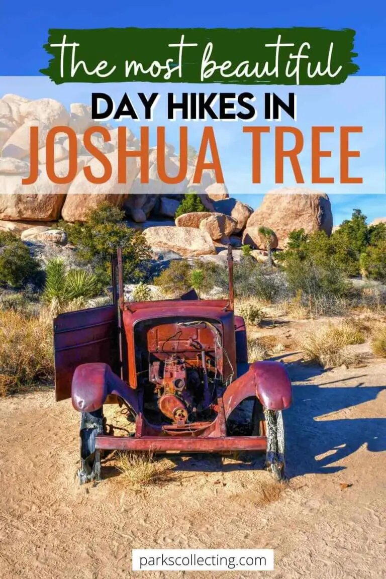 The 10 Best Hikes In Joshua Tree National Park