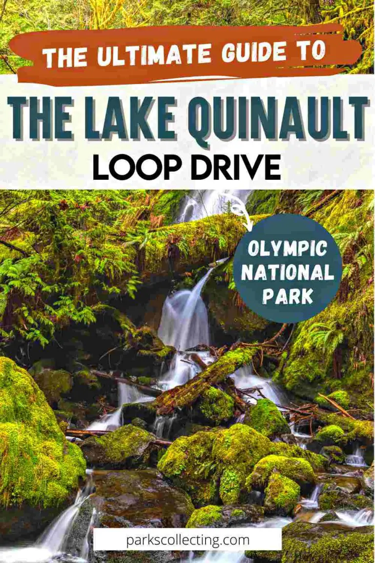 Lake Quinault Loop Drive: A Complete Guide For First Time Visitors