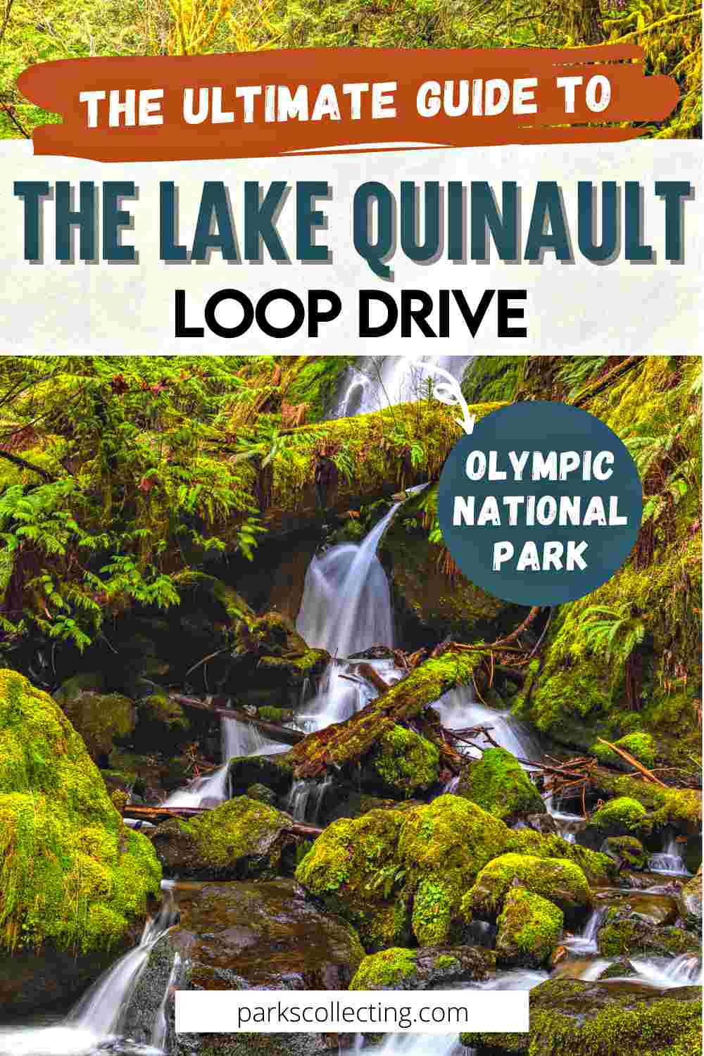 Lake Quinault Loop Drive: A Complete Guide For First Time Visitors