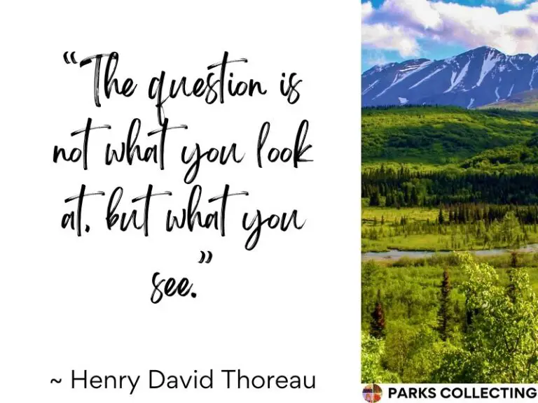 60 National Park Quotes To Inspire Your Next Adventure!