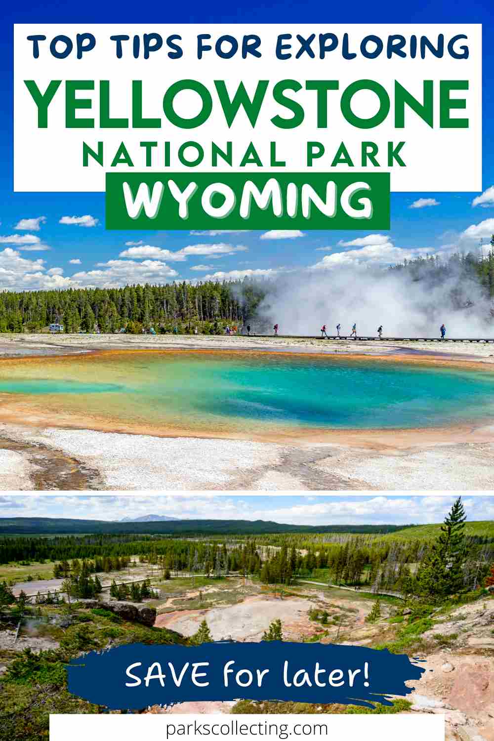 15 Tips For Visiting Yellowstone National Park 2025