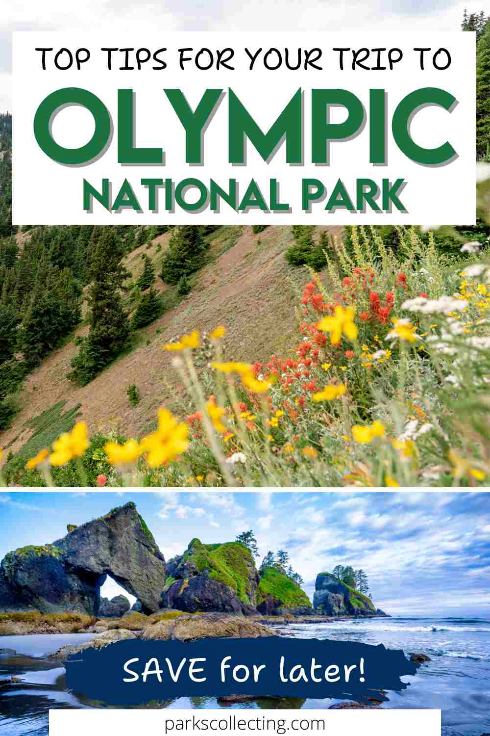 12 Tips For Visiting Olympic National Park 2025