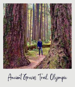Ancient Groves Nature Trail: Complete Guide