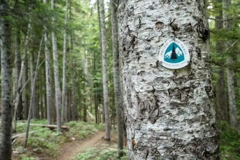 How To Read Trail Markers For Hiking