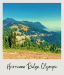 High Ridge Trail To Sunrise Point, Hurricane Ridge: Complete Guide