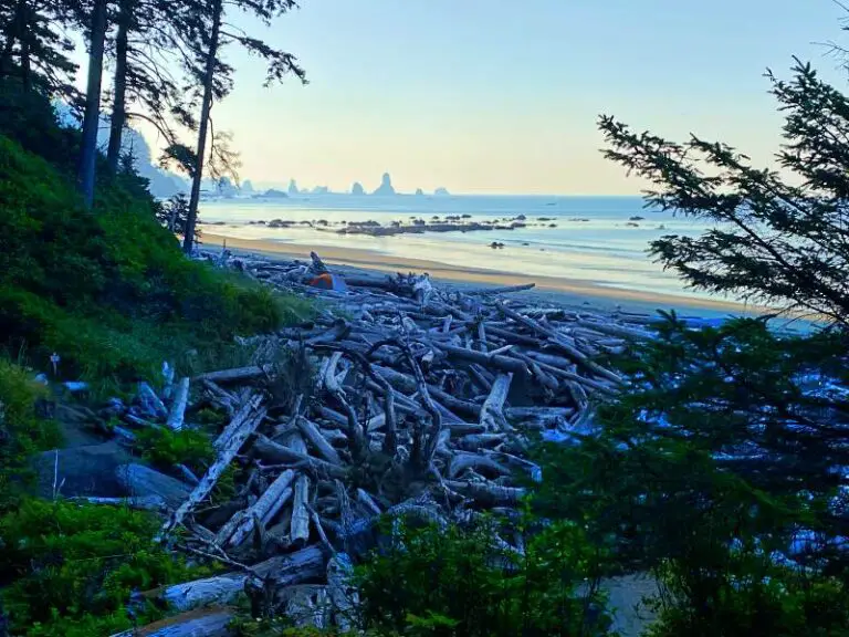 Third Beach, La Push: Complete Guide 2025
