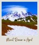 Mount Rainier National Park In April: What To Expect