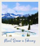 Visiting Mount Rainier National Park: What To Expect Throughout The Year