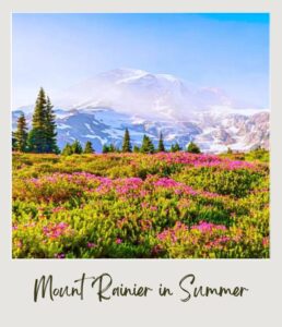 When Is The Best Time To Visit Mount Rainier National Park?