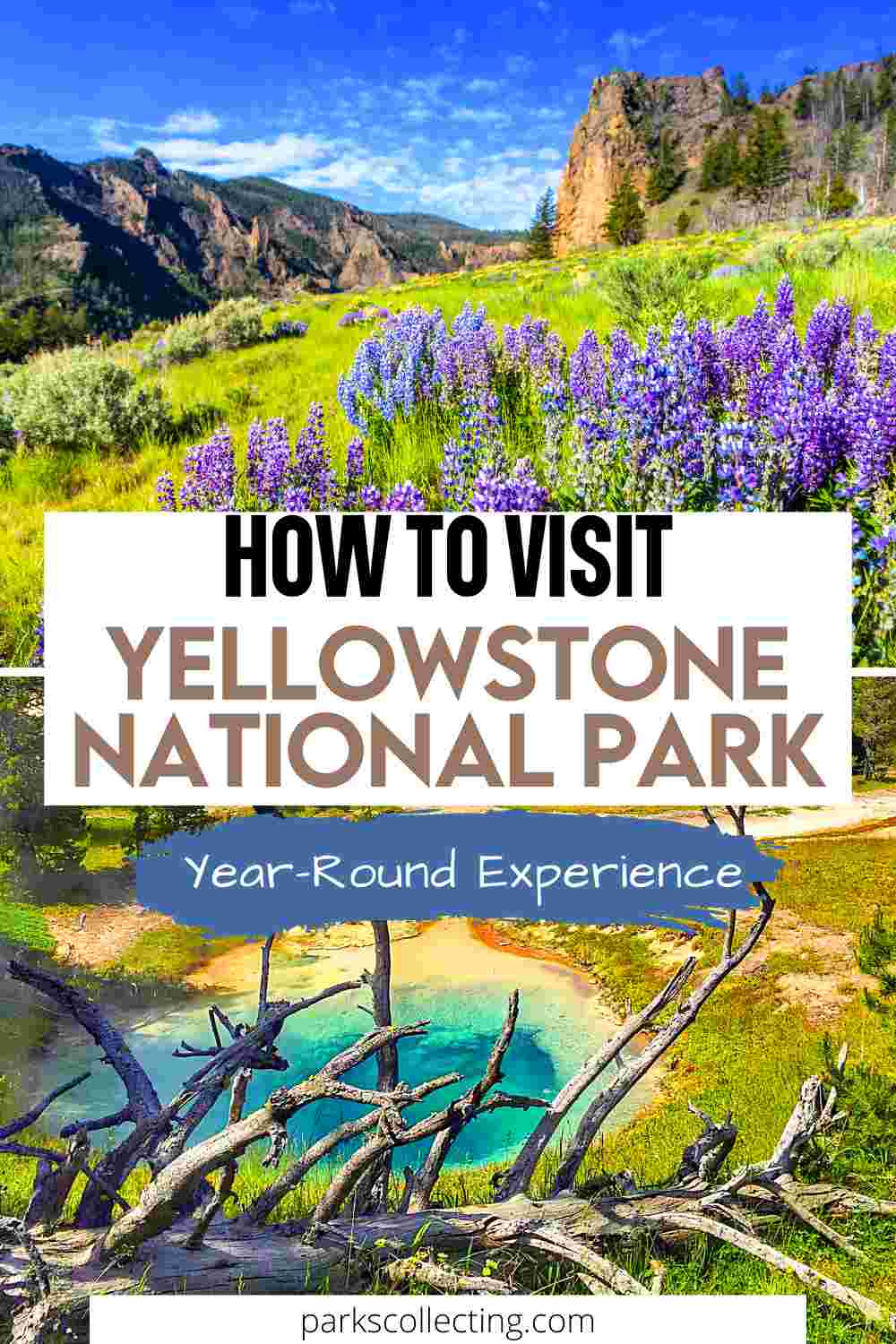 Visiting Yellowstone National Park: What To Expect Throughout The Year