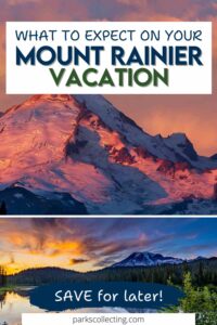Visiting Mount Rainier National Park: What To Expect Throughout The Year