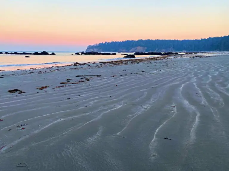 Third Beach, La Push: Complete Guide 2025
