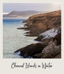 Visiting Channel Islands National Park: What To Expect Throughout The Year