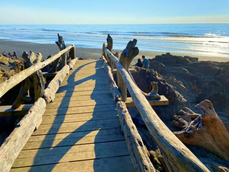 Kalaloch Beach 4, Olympic National Park 2025