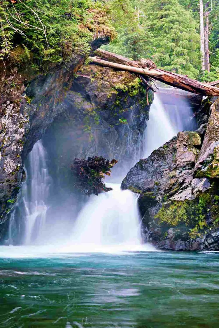 10 Best Waterfalls In Olympic National Park | Forest