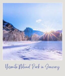Visiting Yosemite National Park: What To Expect Throughout The Year 2025